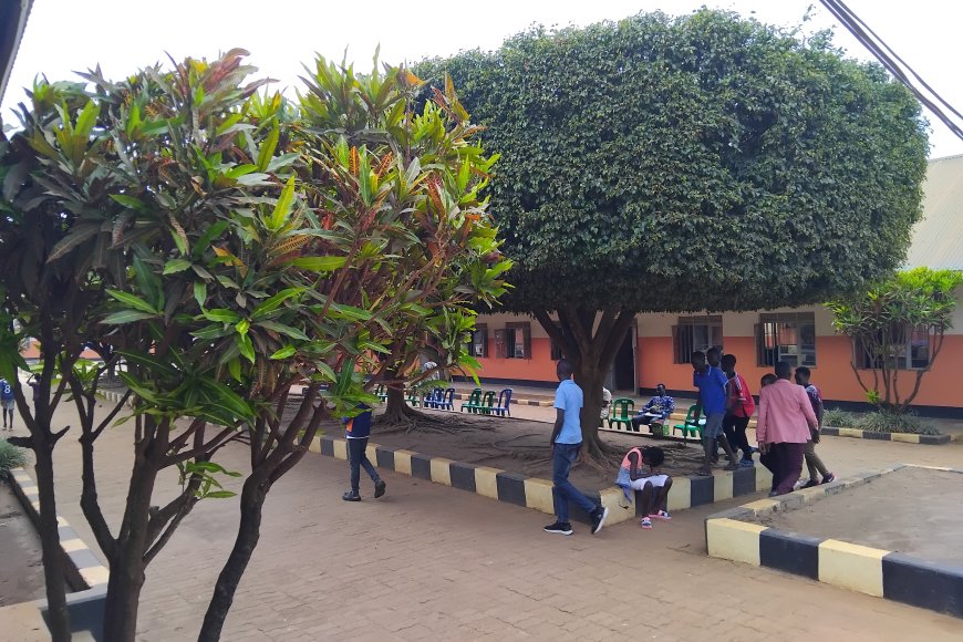 St. Gracious Nursery & Primary Sch, Lira Earns Good Grade in 2024 PLE ...